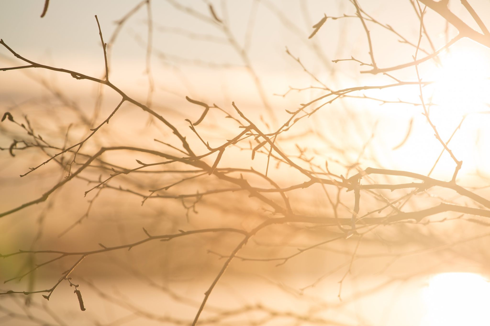 The Holy in Weed and Soil