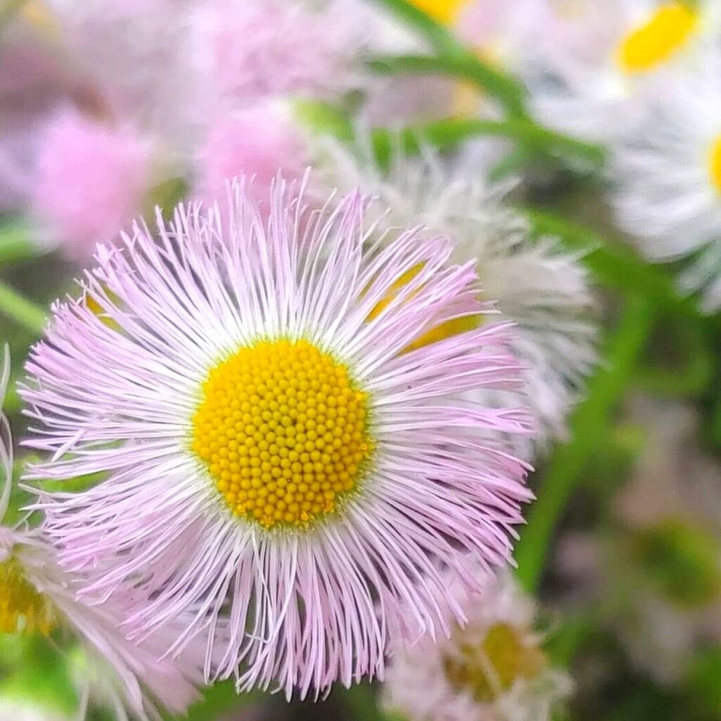 A Walk Through the Seasons - Miss Magnolias Moxie